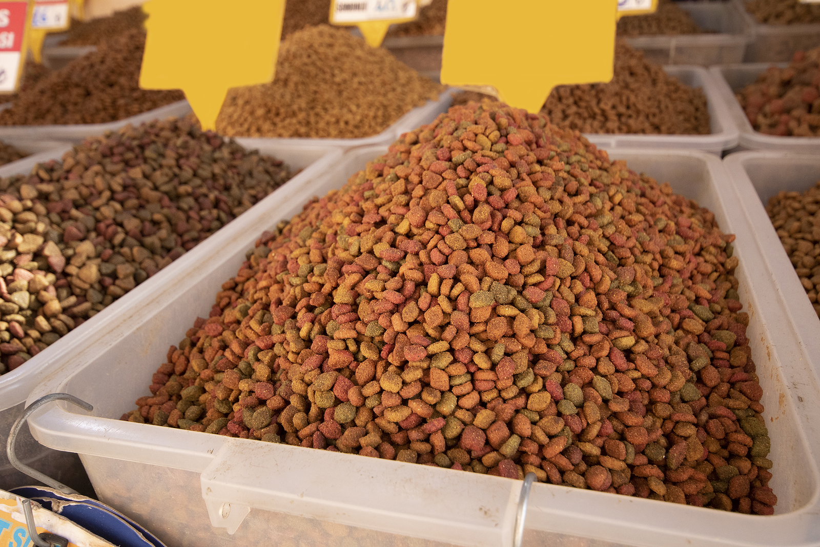 3 Reasons to Use Sustainable Pet Food Ingredients in Your Feed